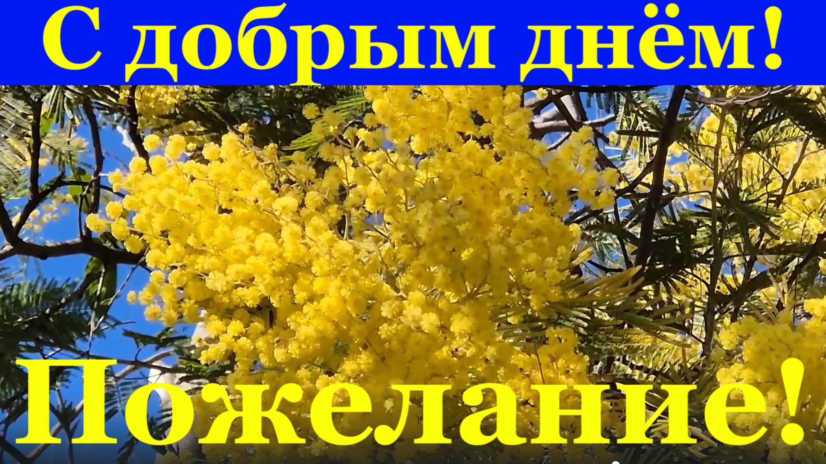 С улыбкой этот день встречай! Пожелания с добрым днём!