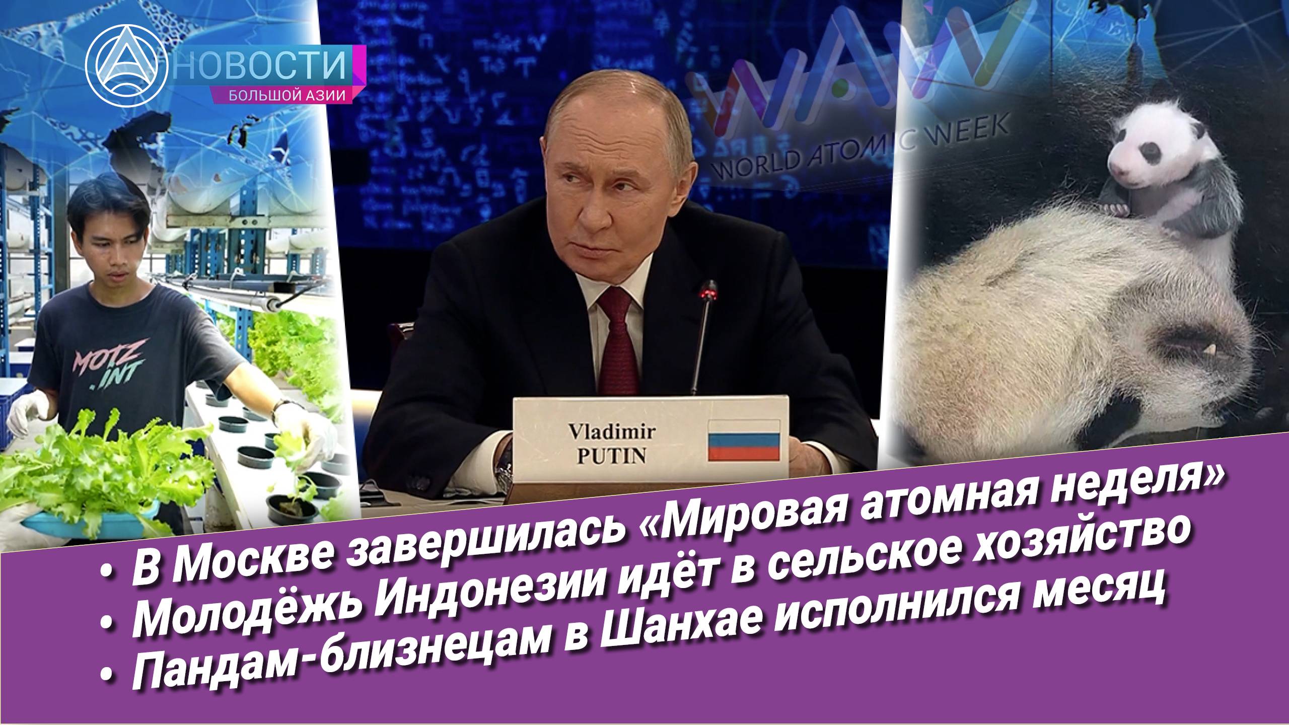 Новости Большой Азии (выпуск 1078): Мирный атом, фермерство 2.0, сделано в Киргизии, малыши панды