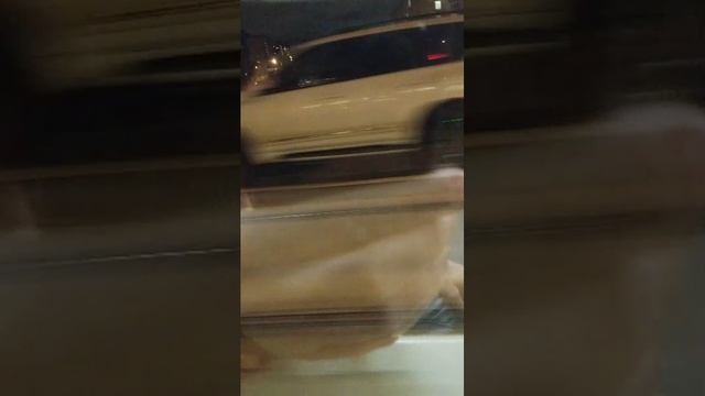 Поездки в общественном транспорте | 2-окт-2025, 3