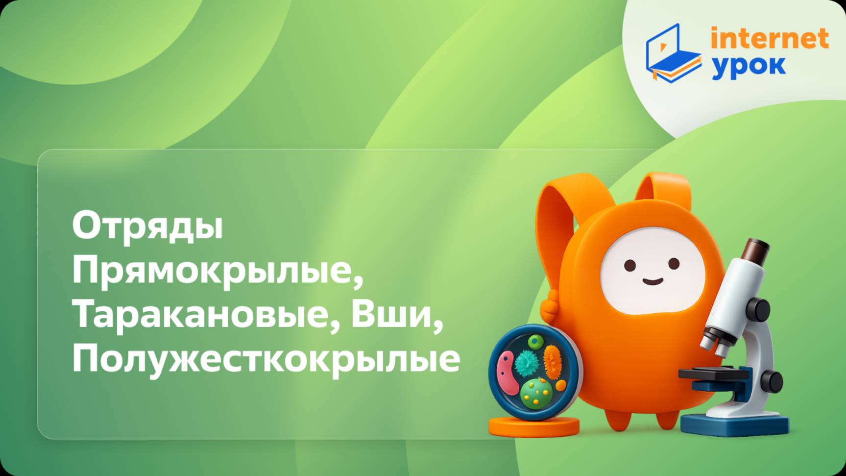 Отряды Прямокрылые, Таракановые, Вши, Равнокрылые хоботные, Полужесткокрылые. Видеоурок по биологии