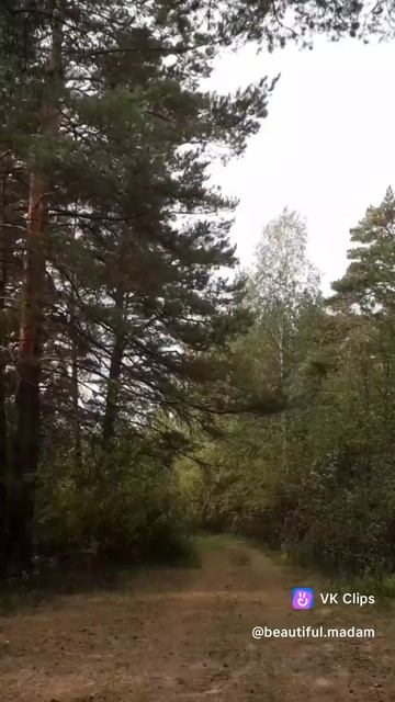 vkclips_20251002063622