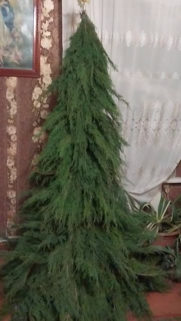 Сам склепал!