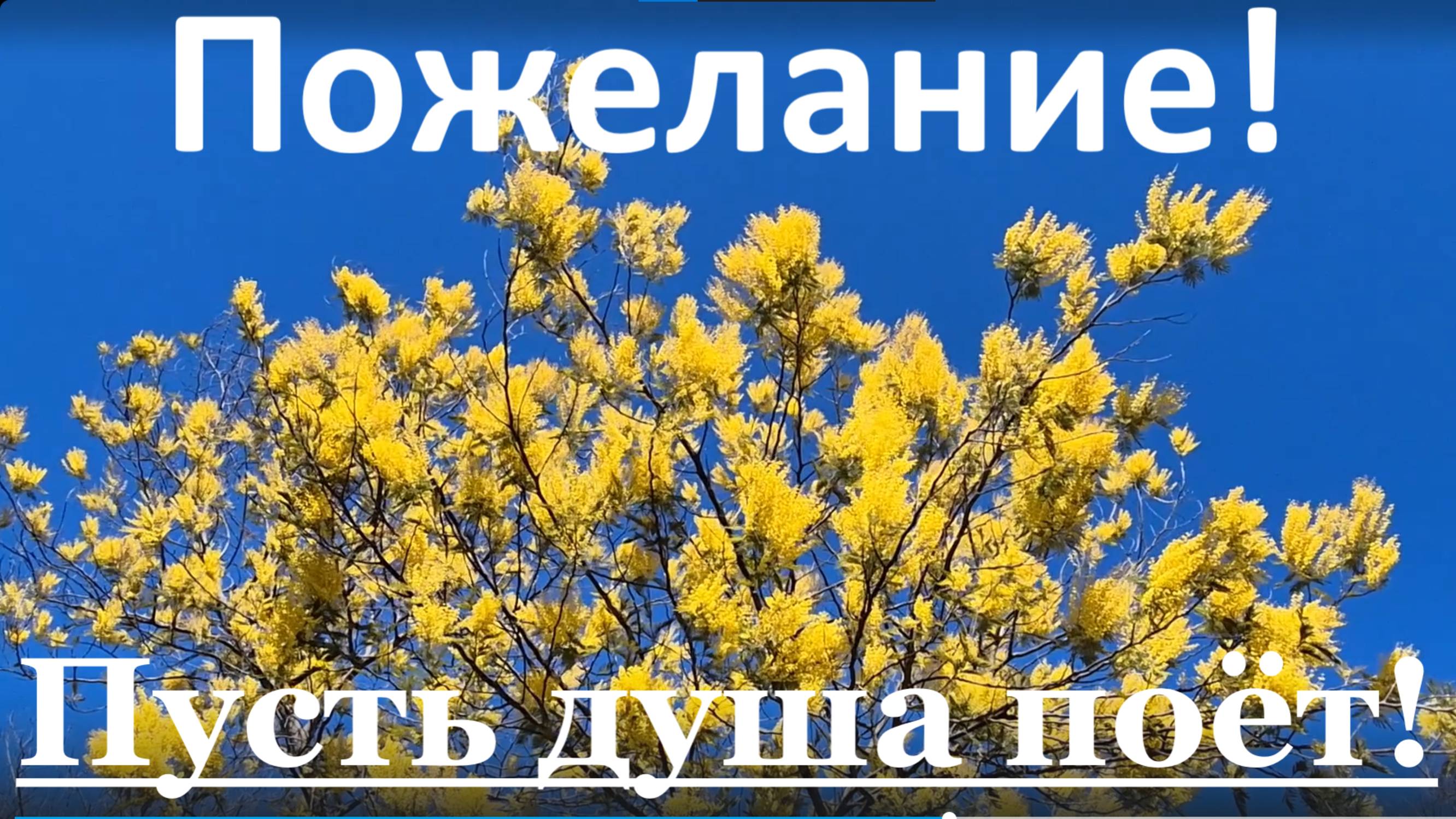 Пожелание! Пусть в светлый день такой душа поёт!