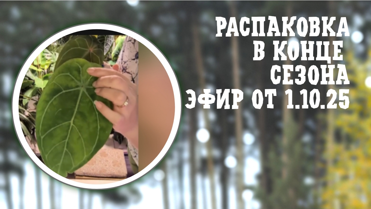 РАСПАКОВКА В КОНЦЕ СЕЗОНА. ЭФИР ОТ 01-10-2025