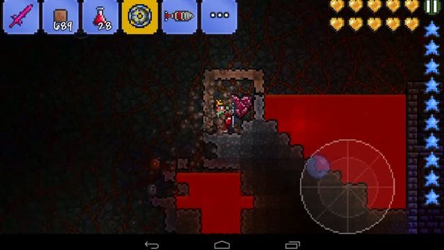 Баг в террарии