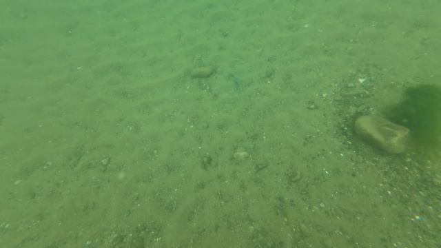 Находка пляж Читувай дно, Находка, август 2025.