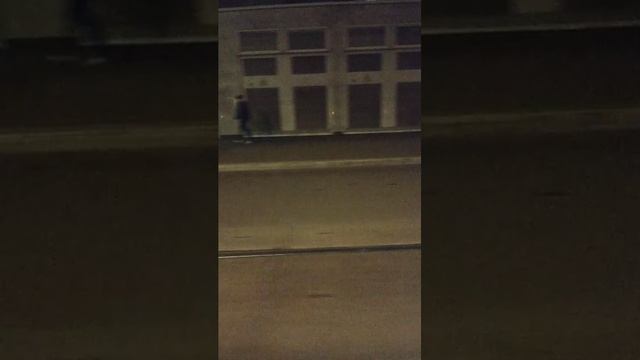 Поездки в общественном транспорте | 2-окт-2025, 4