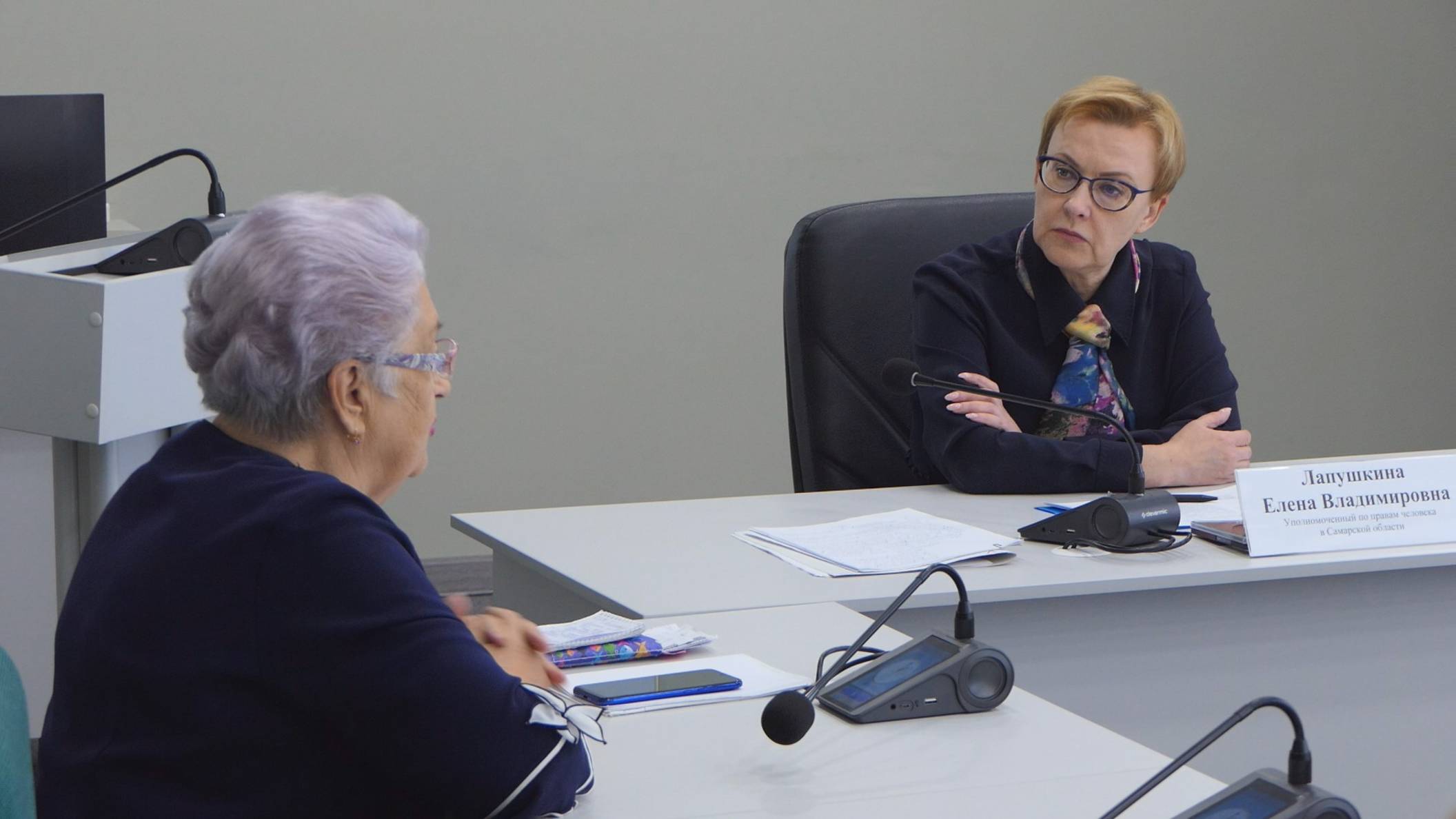 Приём граждан Уполномоченным по правам человека в Самарской области Е. Лапушкиной