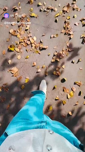 vkclips_20251002052803