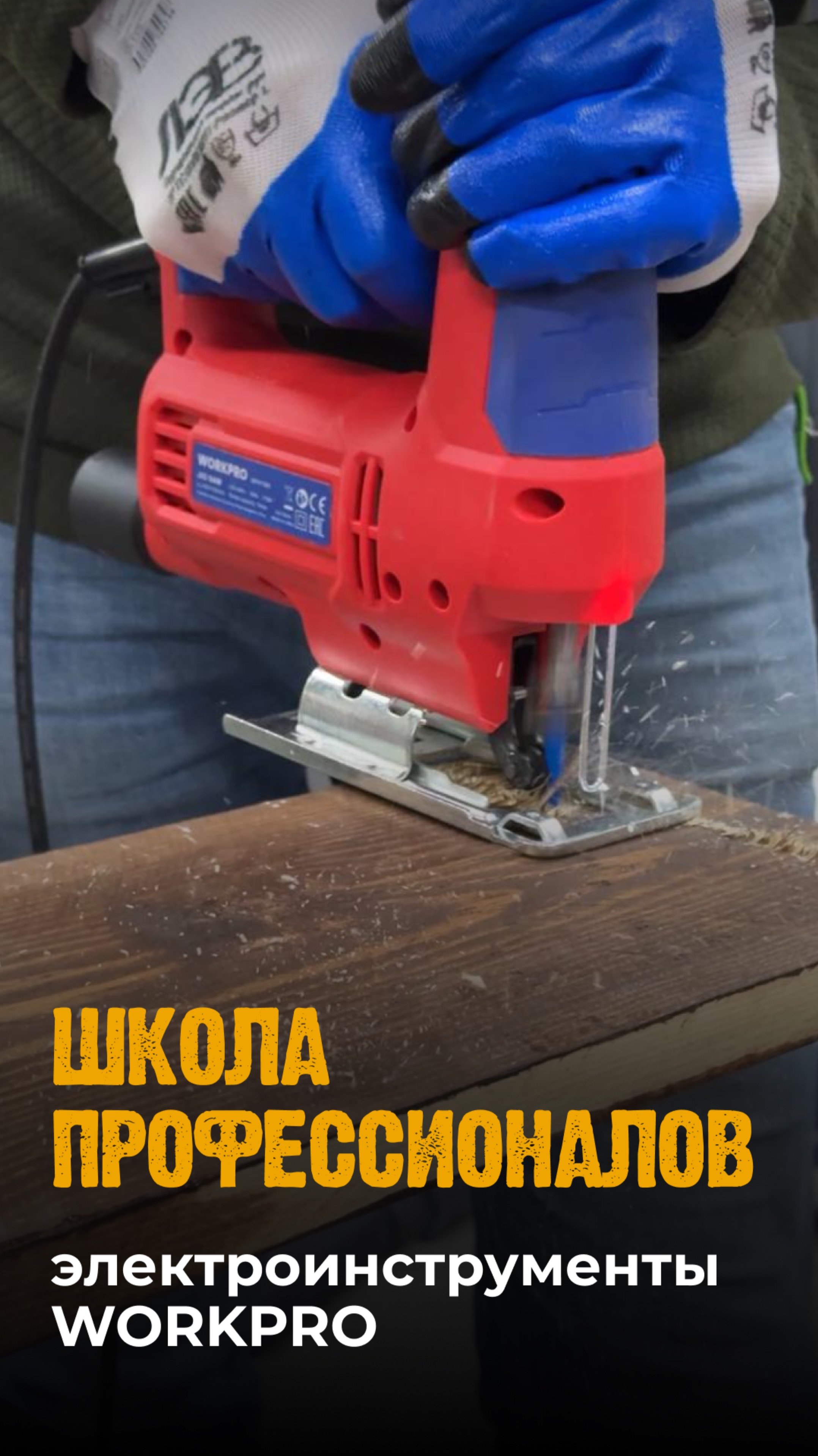 Школа профессионалов | электроинструменты WORKPRO