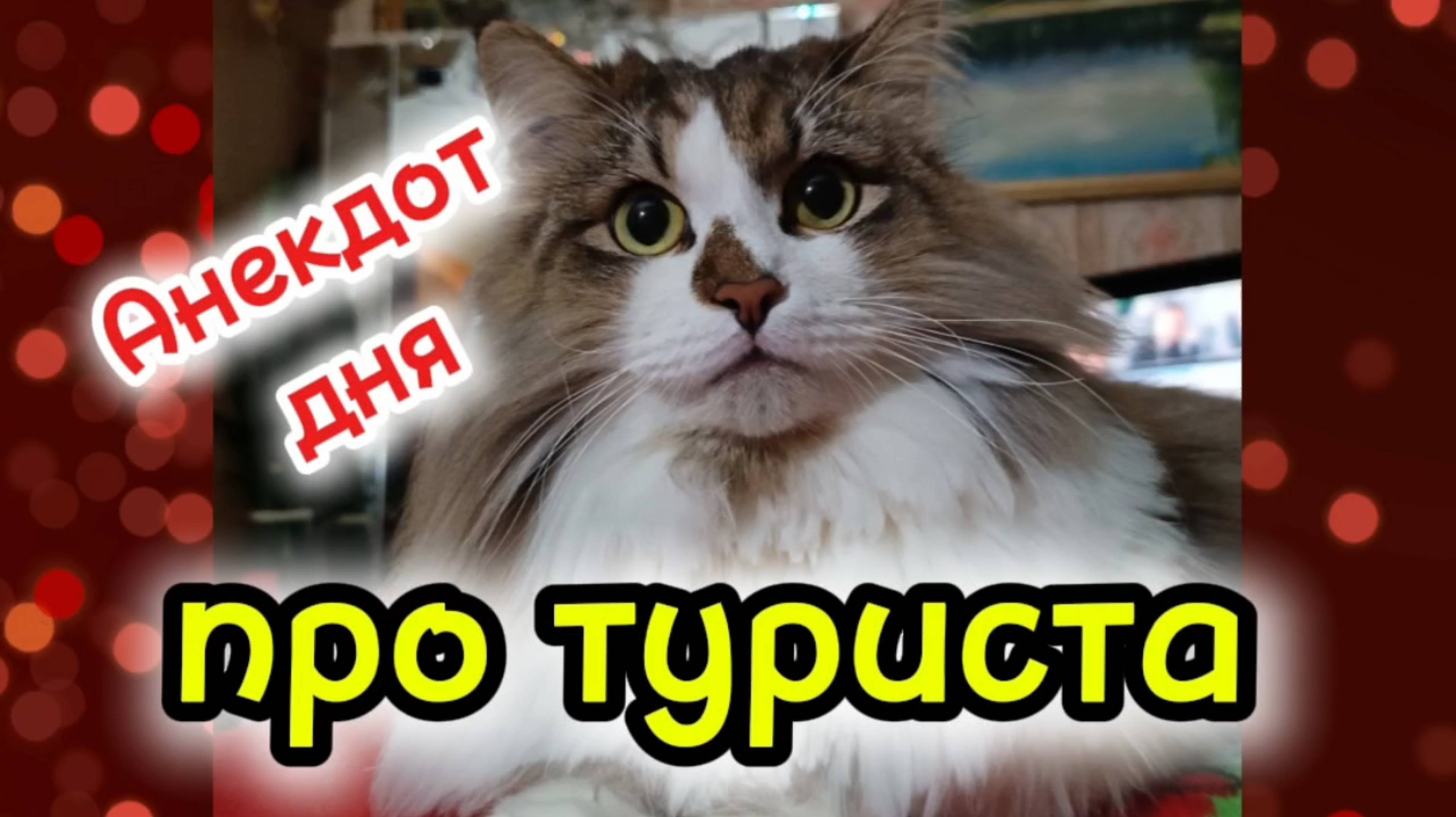 Анекдот дня.