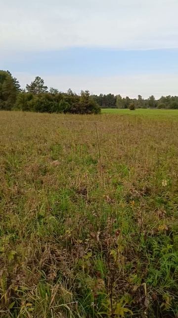 ЗАБАВНАЯ НАХОДКА