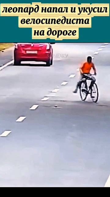 Опасная дорога