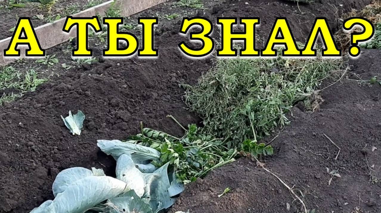 ВАЖНО! Эти работы нужно сделать ОСЕНЬЮ🌿🍁🍂