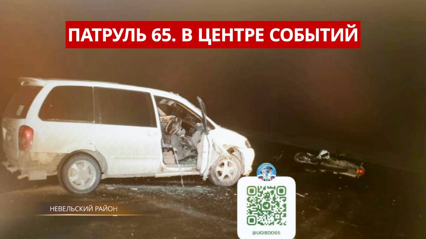 ПАТРУЛЬ 65: Массовая гибель птиц, гнездо шершней и учения МЧС. Происшествия Сахалина 03.10.25