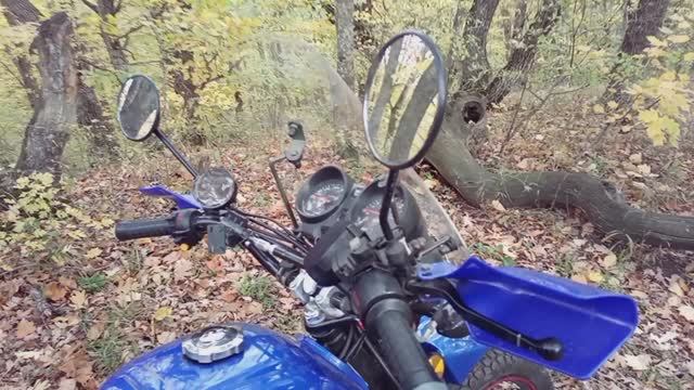 Осеннее мотонастроение: выезд на Альфе оффроад в лес