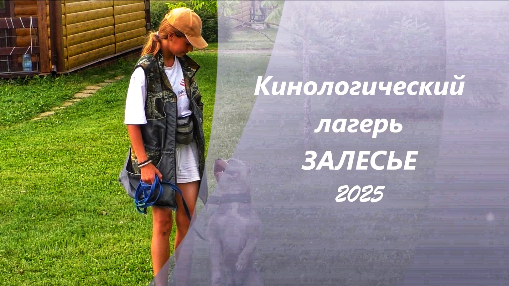 Кинологический лагерь "Залесье" 2025