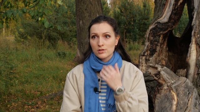 Видеосюжет о Анне Кравченко