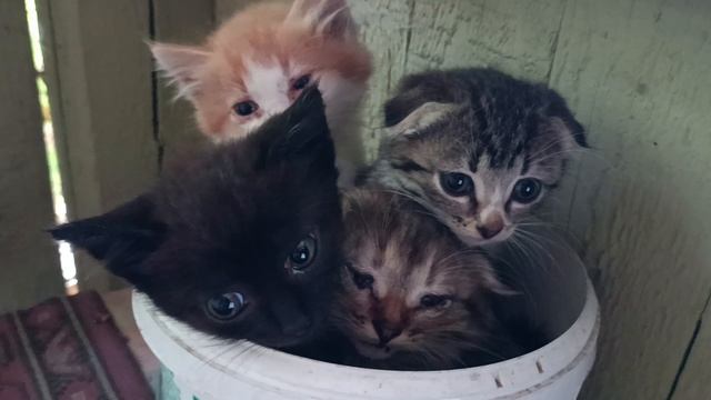 За городом. Сергей Чекалин. Out of the City. Sergey Chekalin.