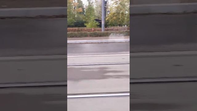 Поездки в общественном транспорте | 3-окт-2025, 2