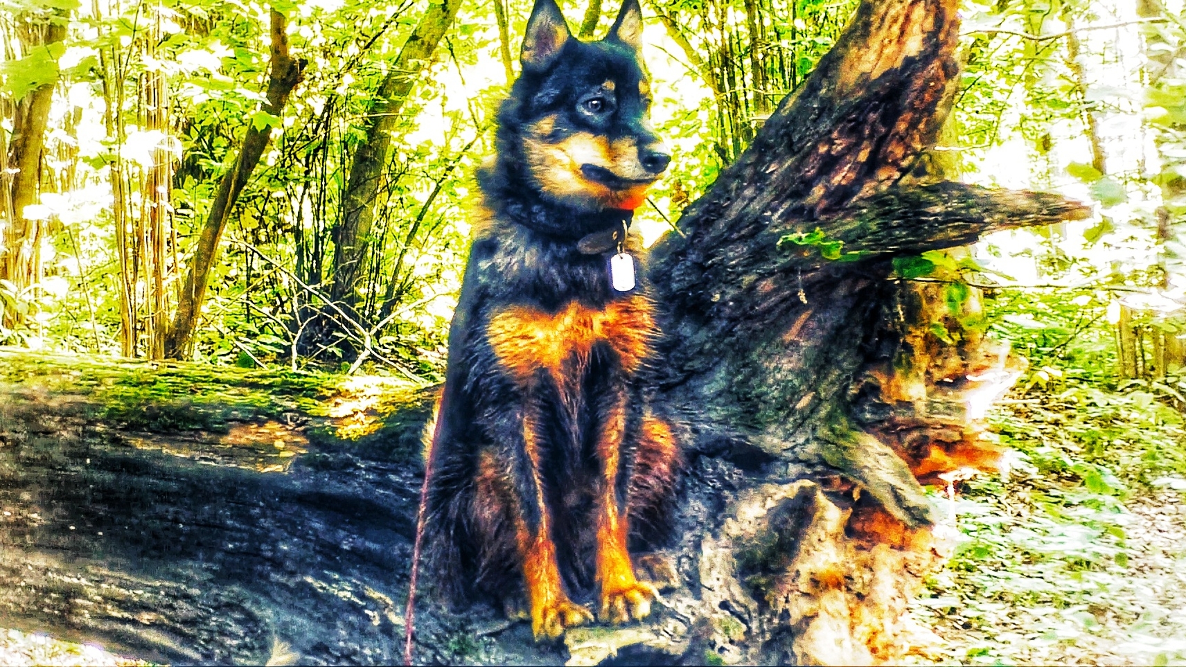 ЮнТур. Заманили.