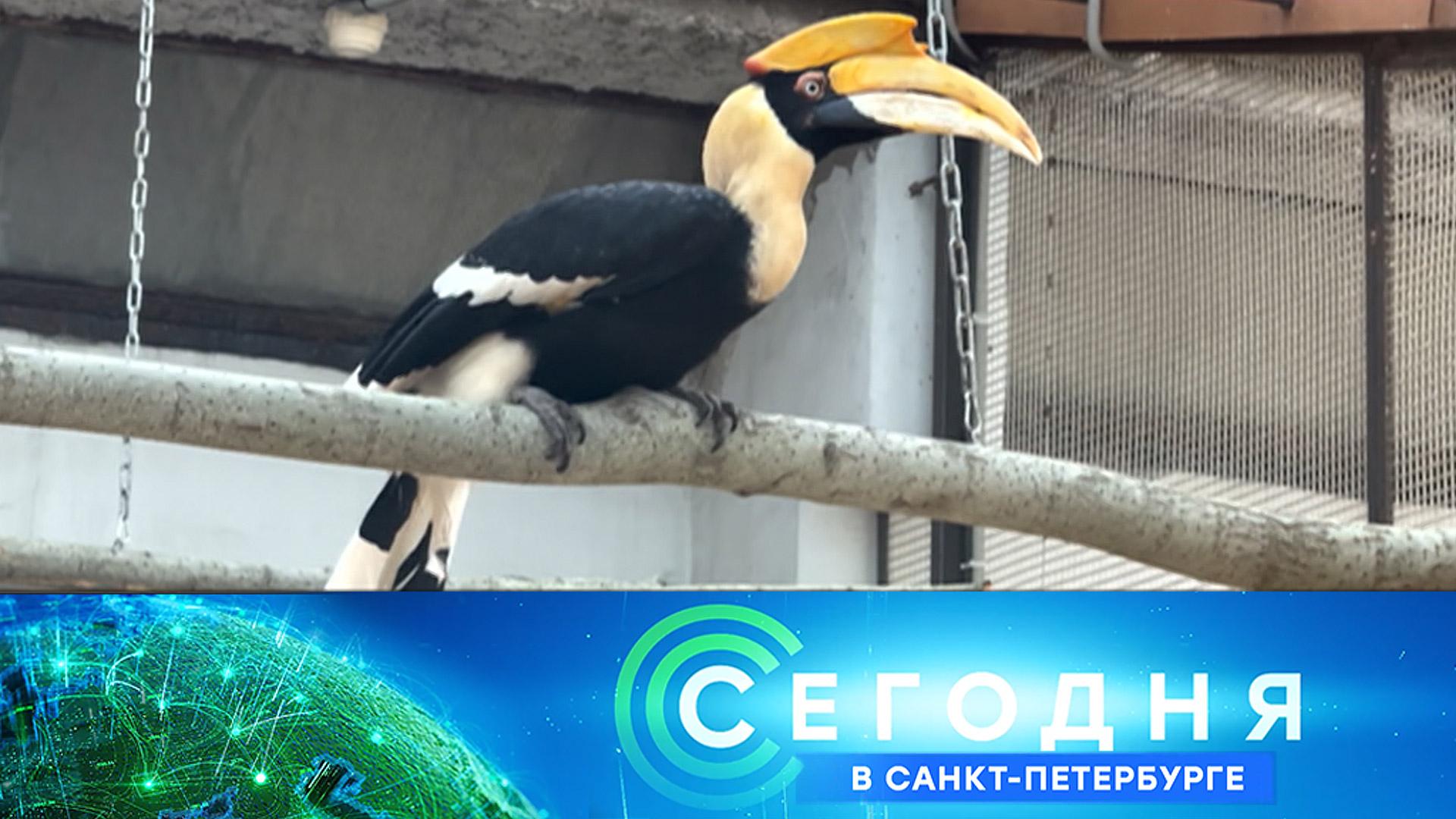 «Сегодня в Санкт-Петербурге»: 3 октября 2025 года