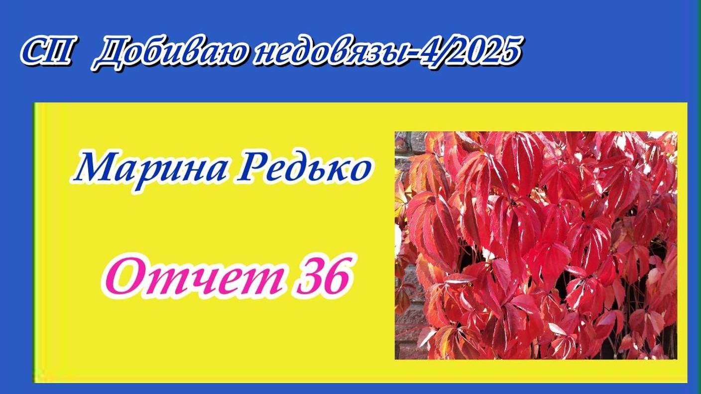 СП "Добиваю недовязы-4/2025" / Отчет 36