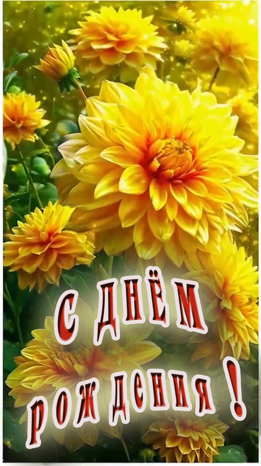 С Днём рождения !