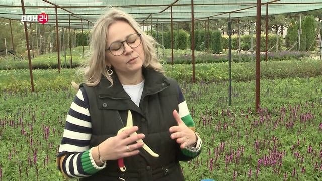 Станица-на-Дону 03.10.2025