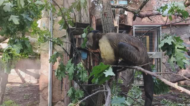 С добрым утром...