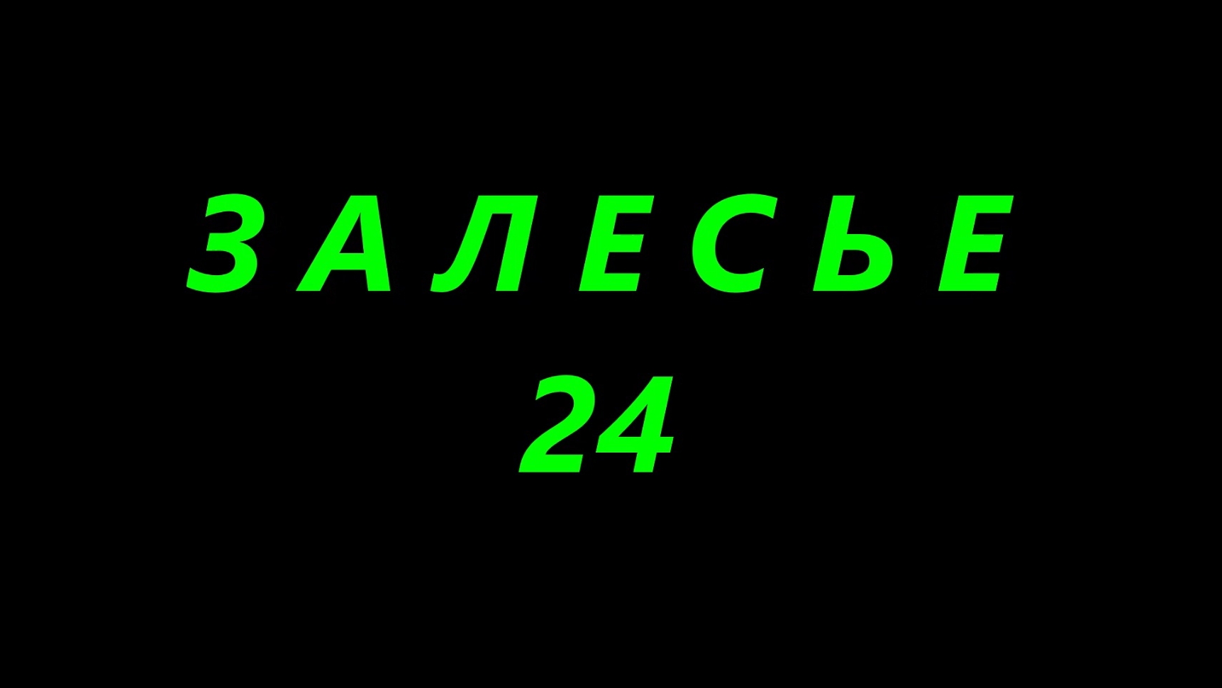 Кинологический лагерь "Залесье" 24