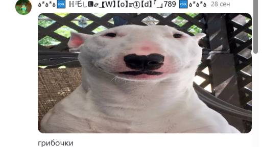 вофывл9црккнщ8лж56лд6д