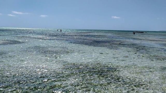 Океан убежал,фантастический отлив Паже,Занзибар!