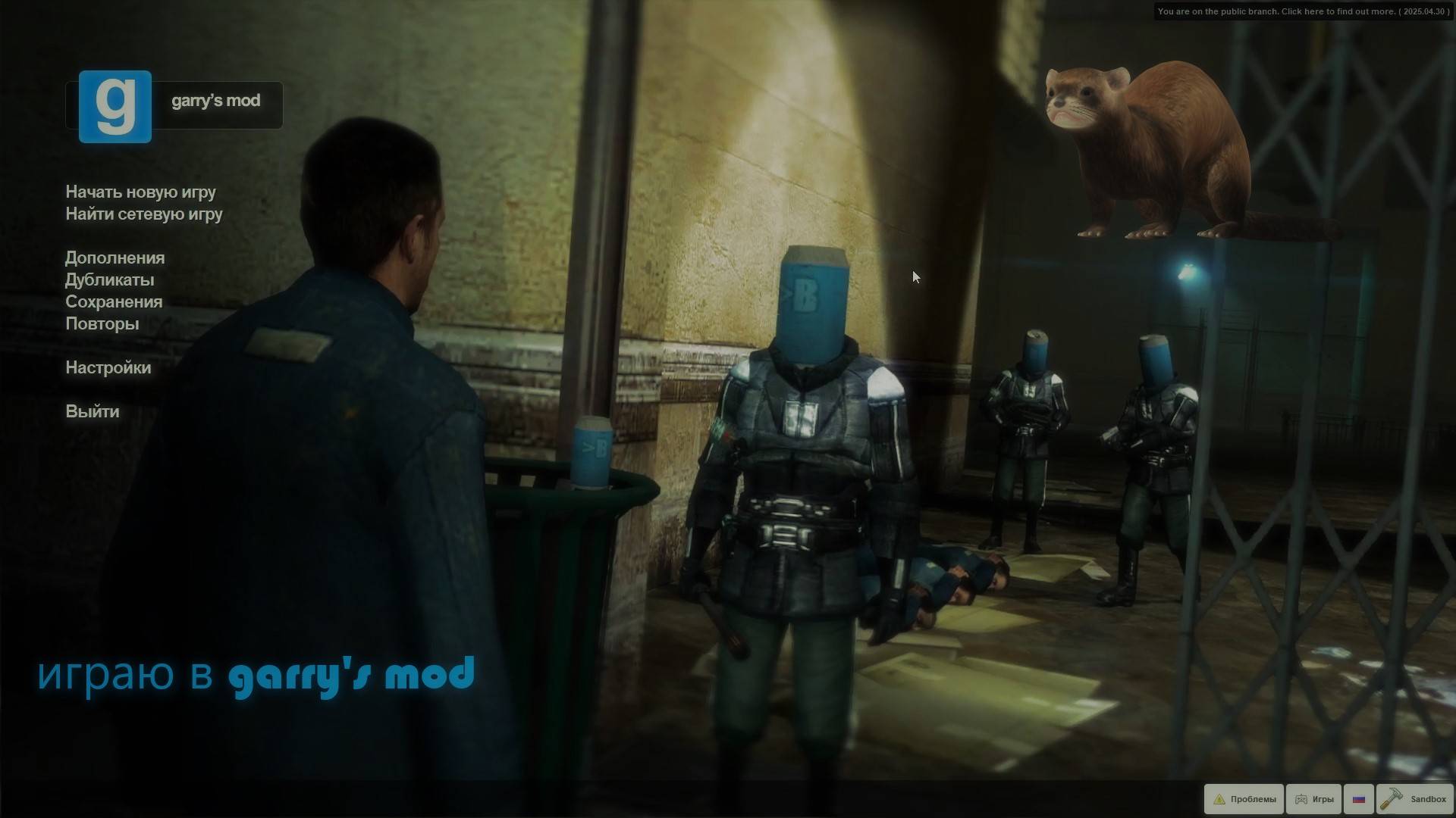 играю в garry's mod