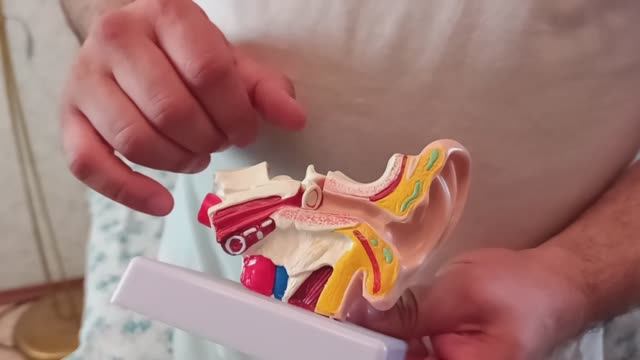 Как мануально подправить уши. Разбираем нюансы. Обучение Мануальной терапии у Олега Гудвина.