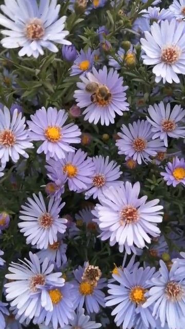 28 сентября 2025 г.