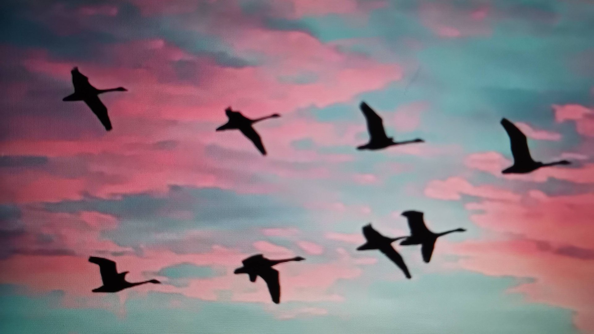 Пусть над школой покружит