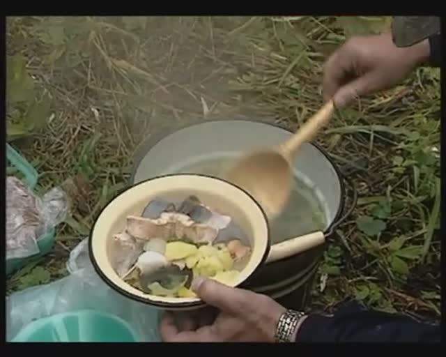 Почему уха приготовленная из Гольца (род Salvelinus) считается наиболее вкусной и полезной ?