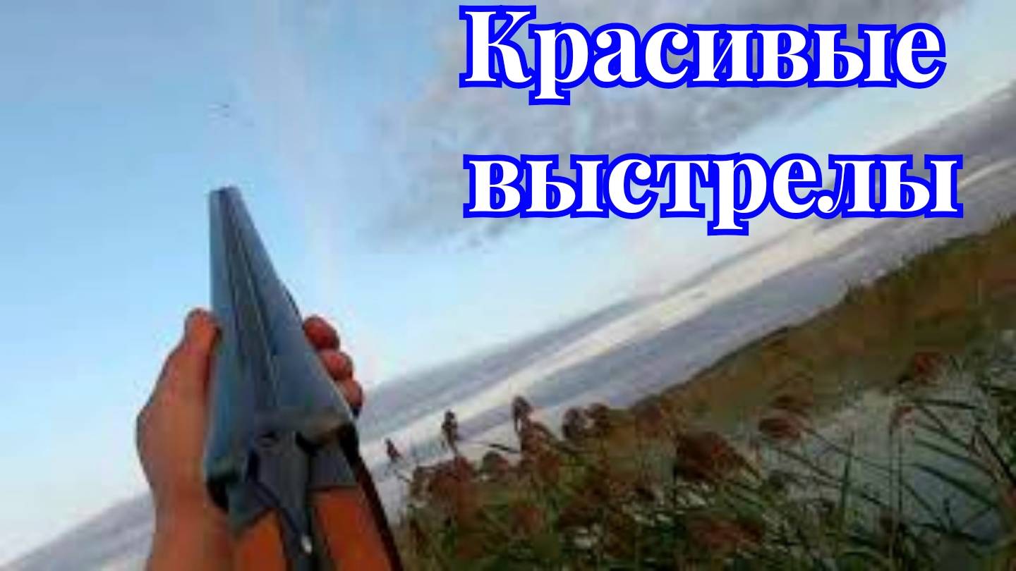 Выстрелы на охоте, на утку | Интересный  выстрел | Замедленная съёмка