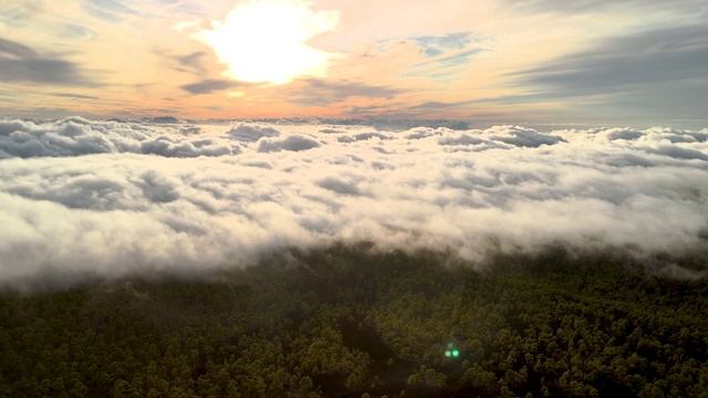 Ария пророка Исаии - NEW MSD Music Laboratory