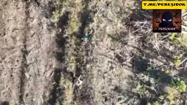 Сначало "выкурили", потом добили