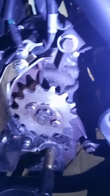 Ведущая звезда 14 зубьев на Racer Triumph из  китайской сыромятины - большой люфт.