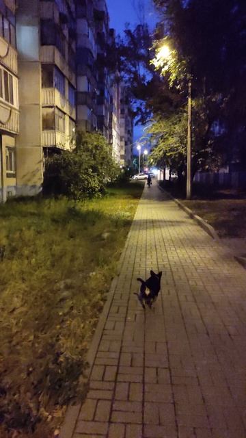 Добрый вечер 05.10.25.