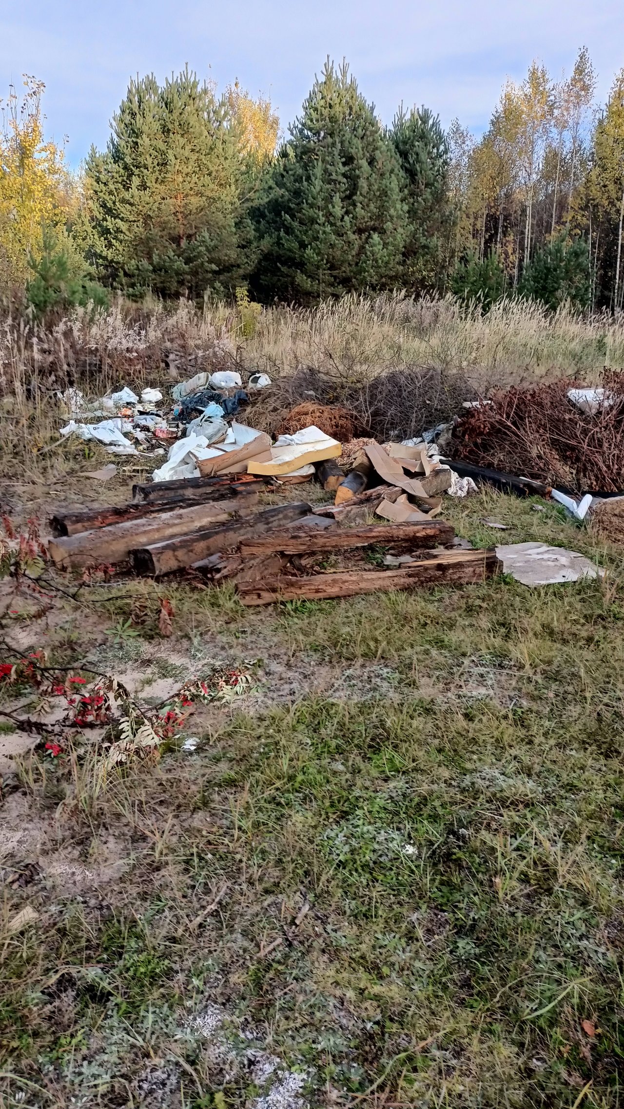 Свалки у п.Стрижи (((