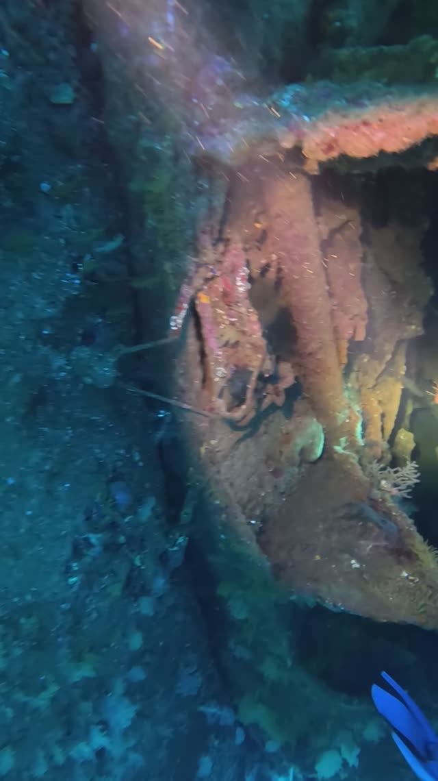 Ghiannis d wreck, Абу нухас, рэк дайвинг, дайвинг в Хургаде, дайвинг в Египте