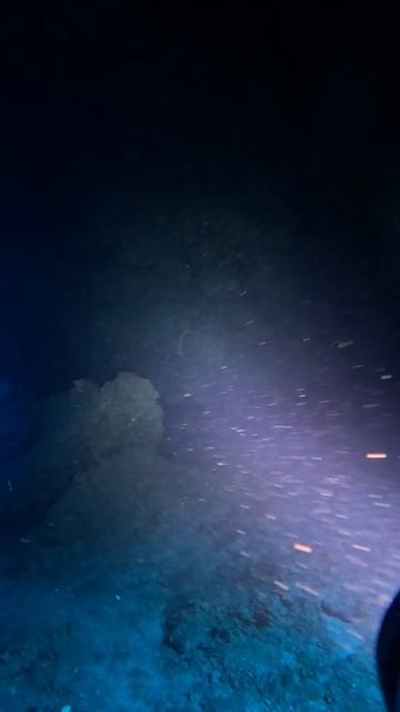 дайвинг, Каш, Турция