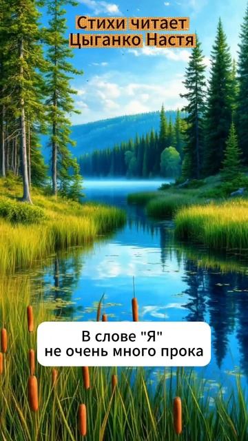 Цыганко Настя стихи о Родине