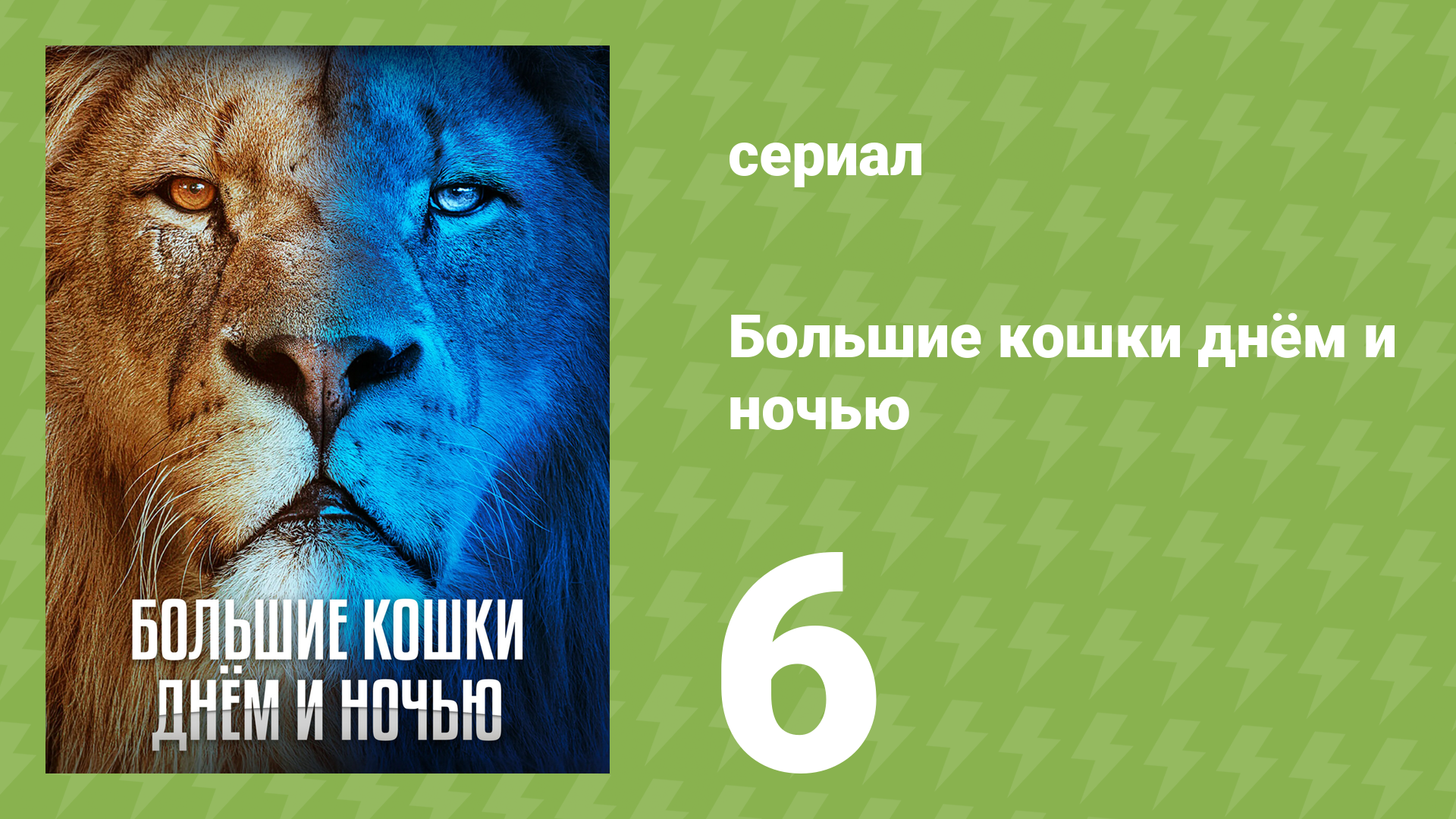 Большие кошки днём и ночью 6 серия (документальный сериал, 2024)