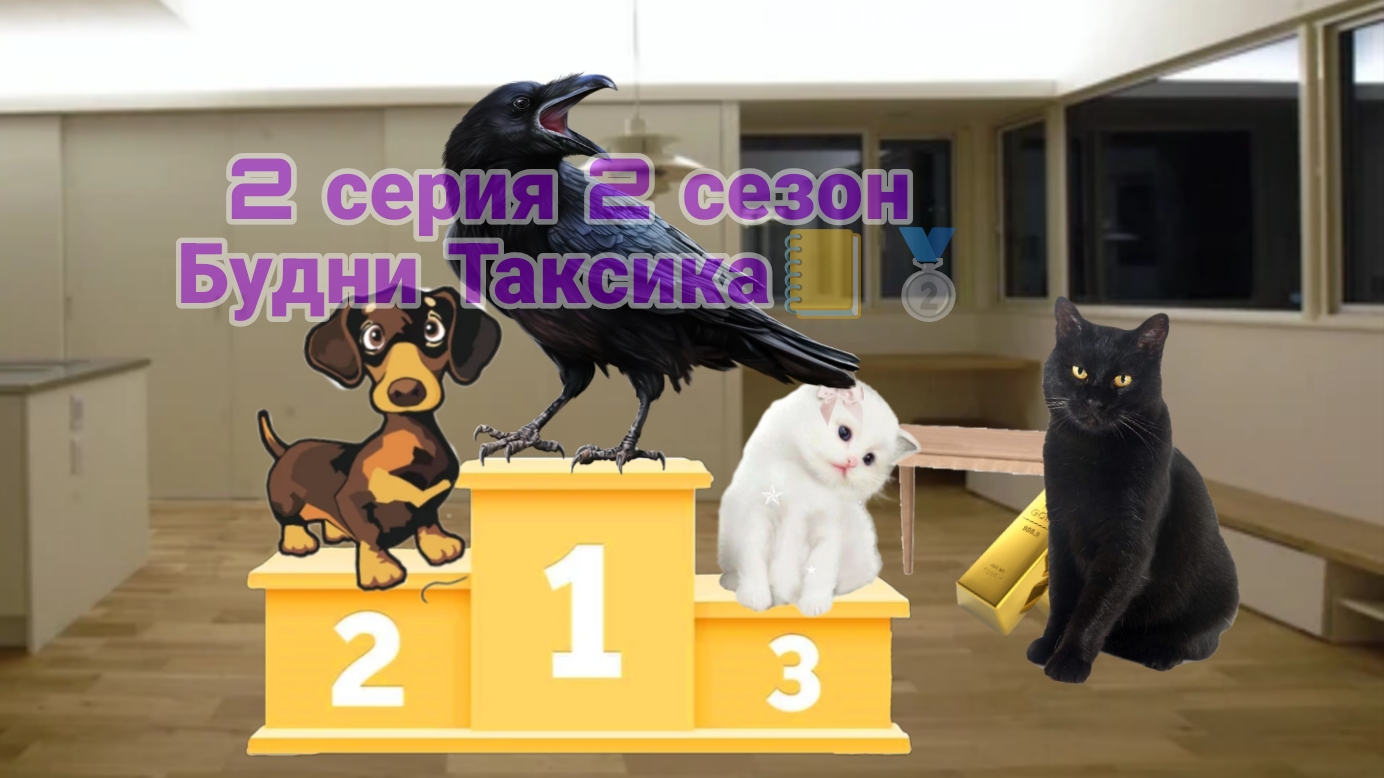 🥈📒2 серия 2 сезон Будни Таксика📒🥈