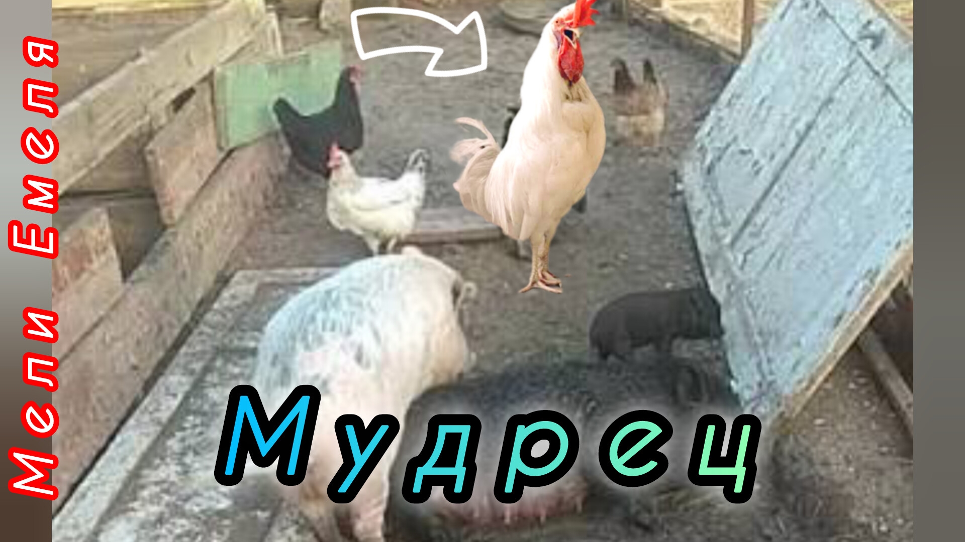 "МУДРЕЦ" А. Толстой /аудиосказка/